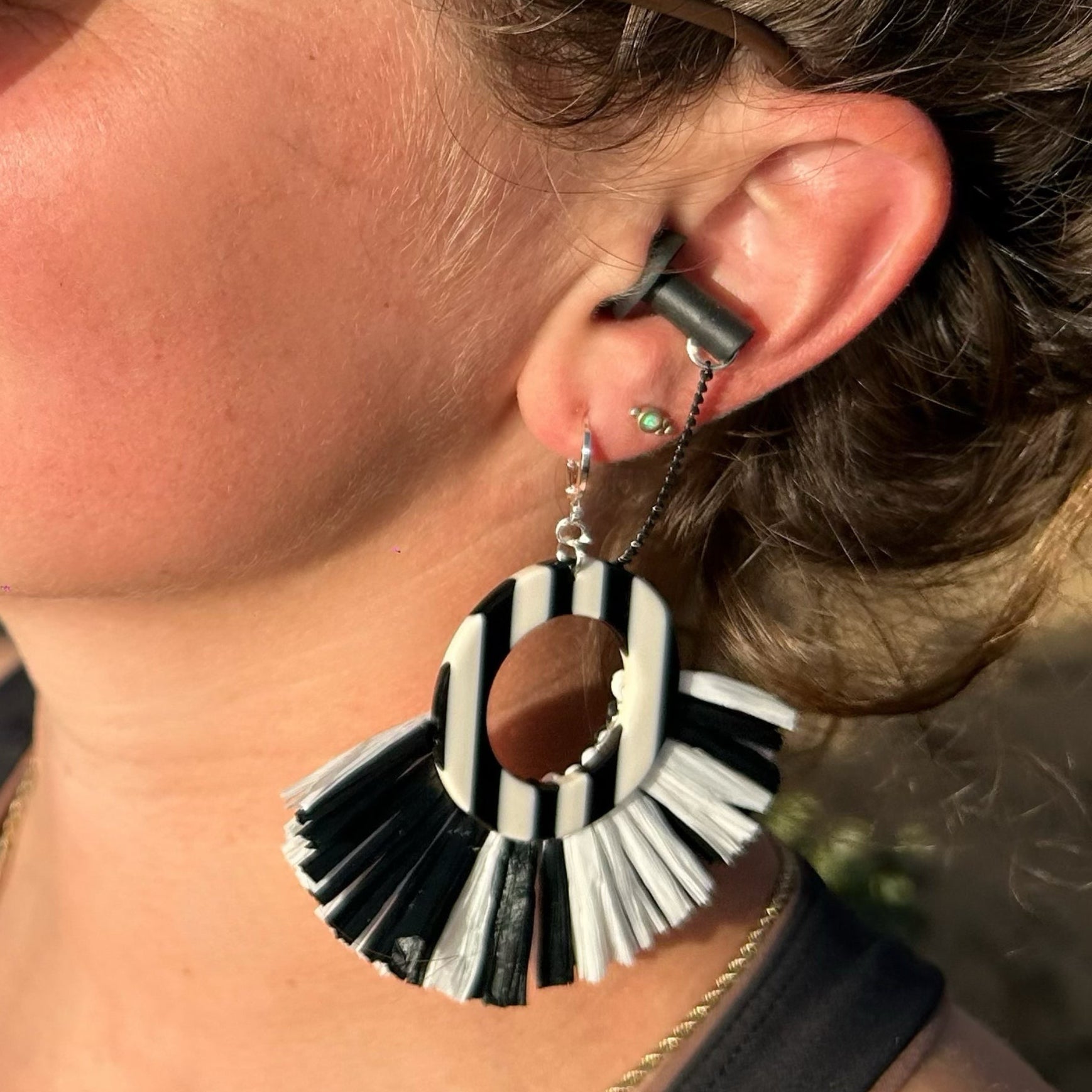 Zebra Fans – Wook Plugs